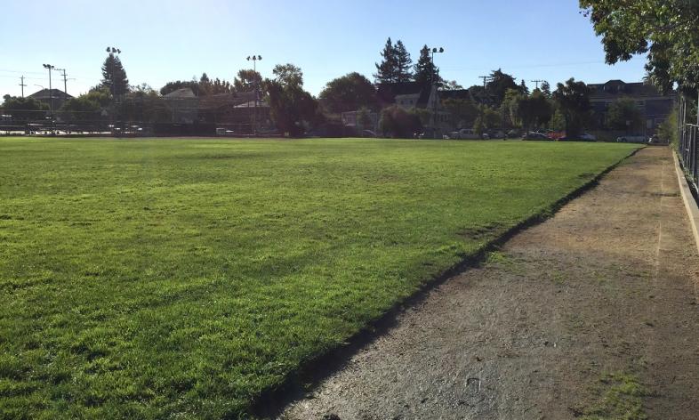 Grove Park Field and Playground Improvements | City of Berkeley